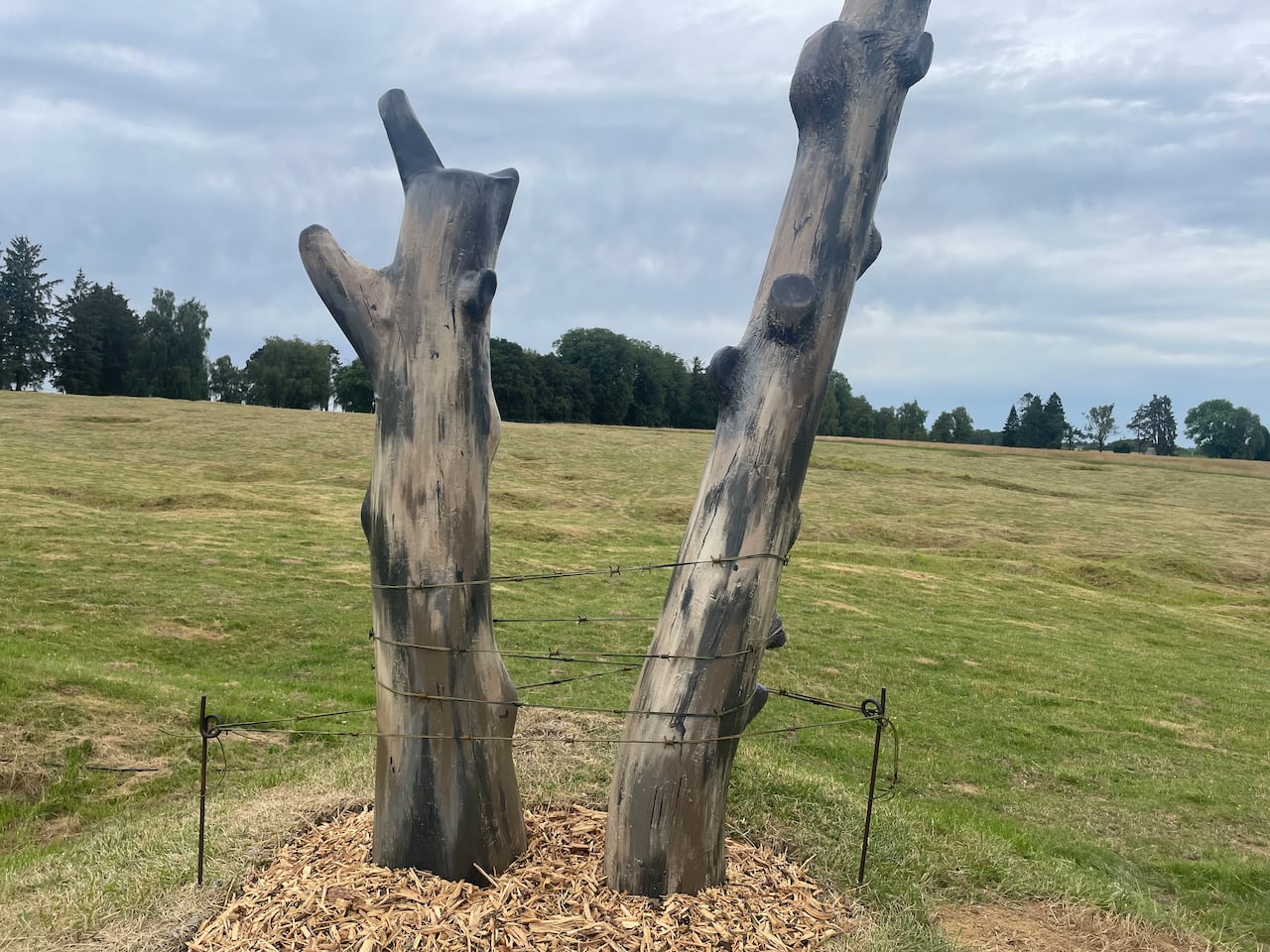 New Danger Tree replica stands in Beaumont Hamel as a reminder of ...