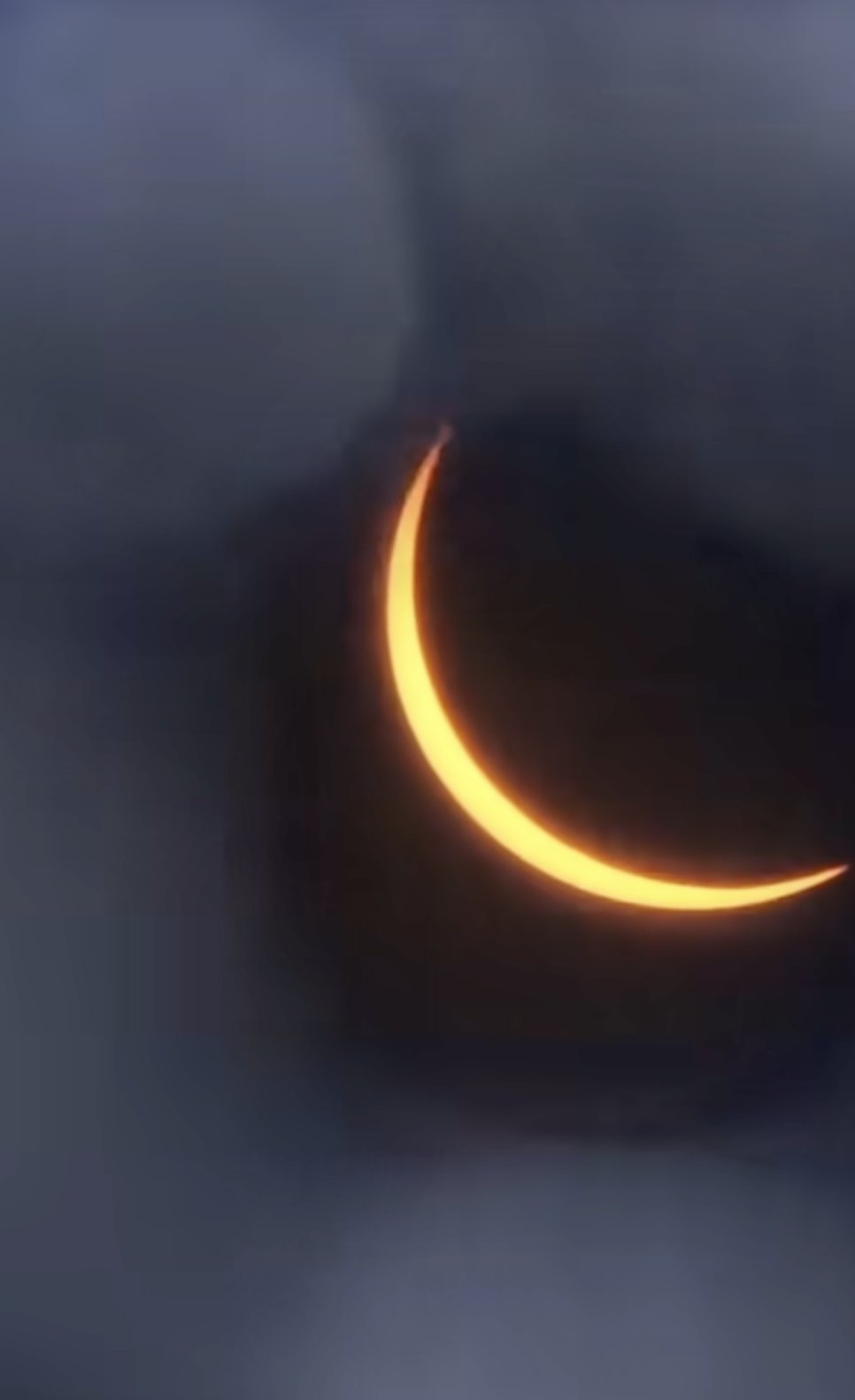 Solar eclipse confuses a rooster