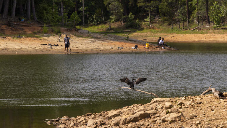 On Falls Lake, the Triangle's drought looks terrible in spots, normal ...