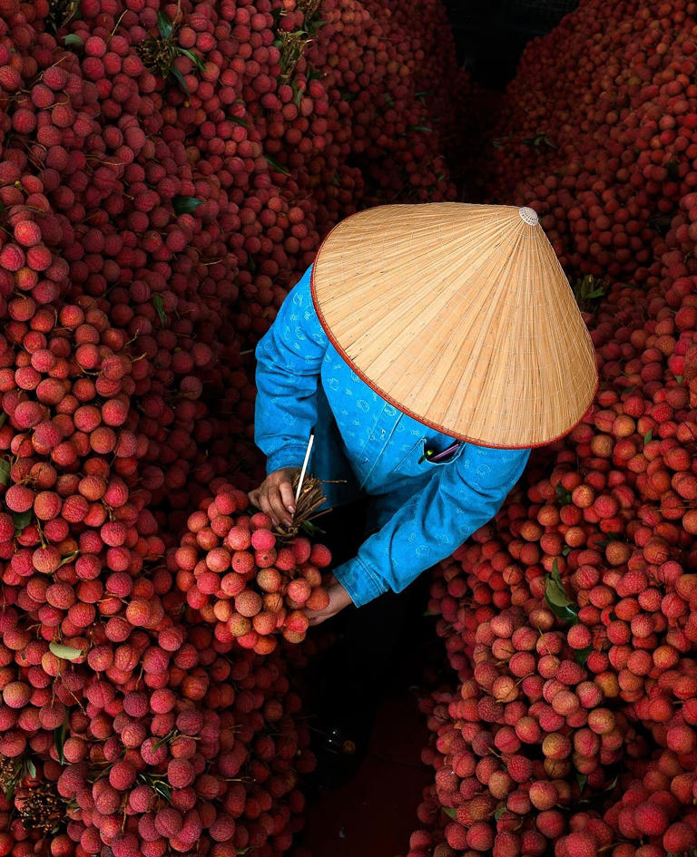 How many lychees are safe to eat each day?
