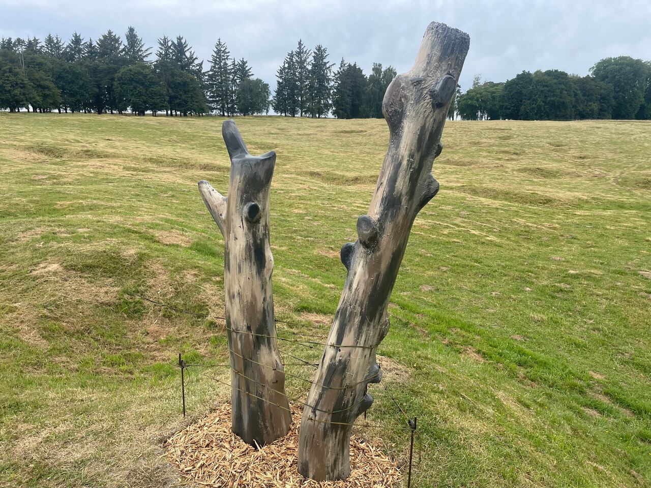 ‘Newfoundland-made’ Danger Tree unveiled in Beaumont-Hamel ceremony