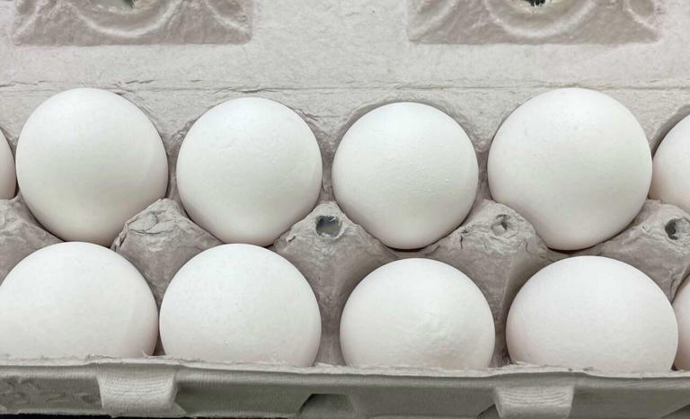 Here's why Connecticut was just awarded 1.5 million eggs in a ...