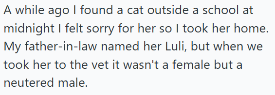 Computer science student rescues a cat and unintentionally names him ...