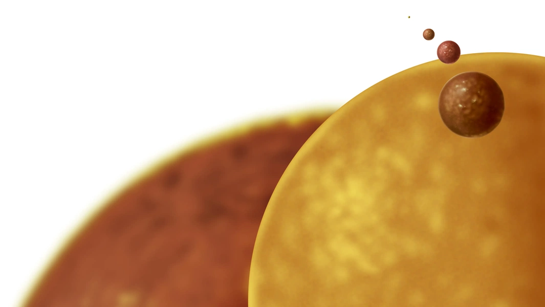 Betelgeuse and the science of supernovae