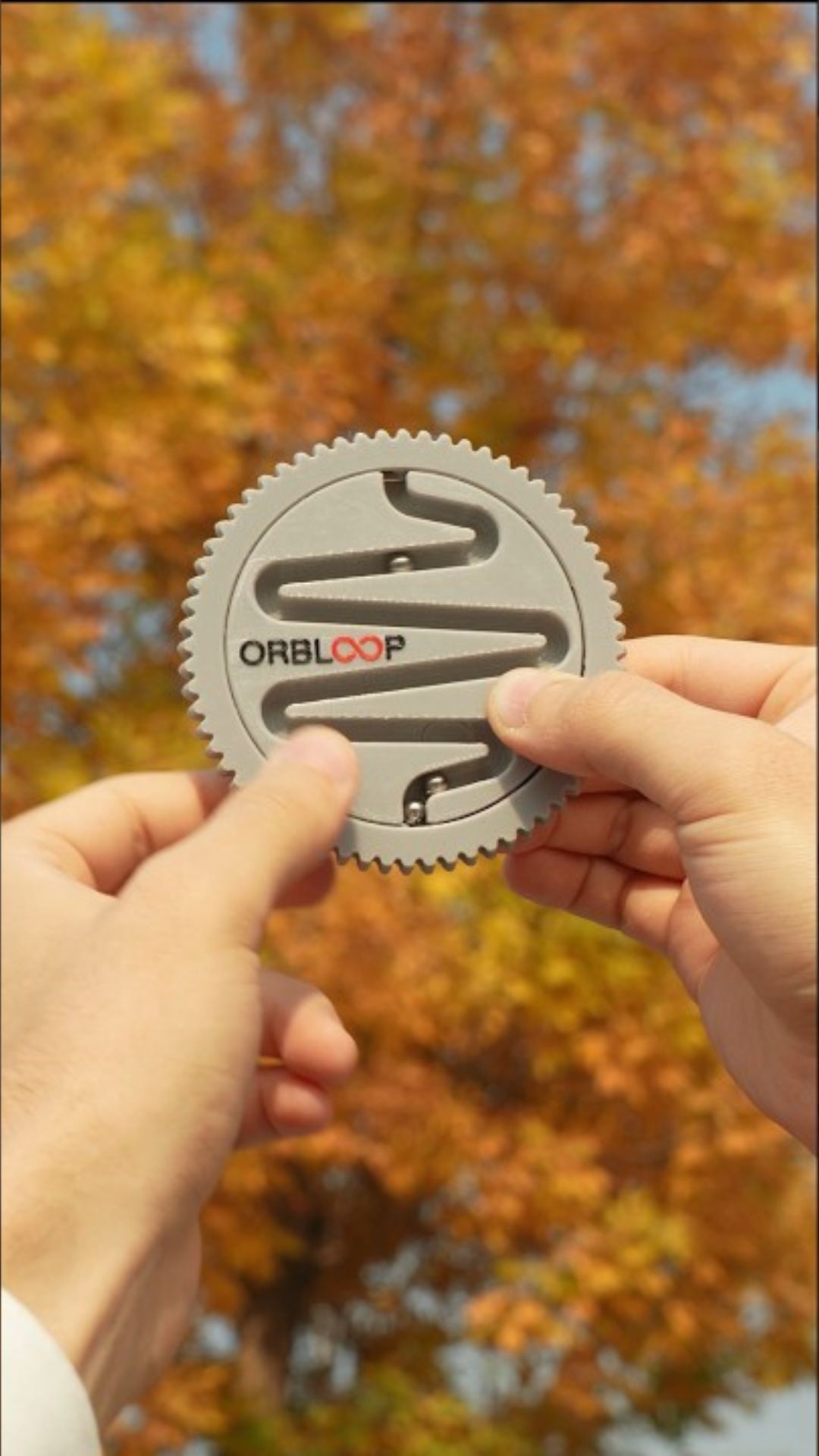 I 3D printed Orbloop functional motion design