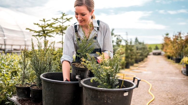 Use old plastic nursery pots to create budget-friendly pavers with a ...