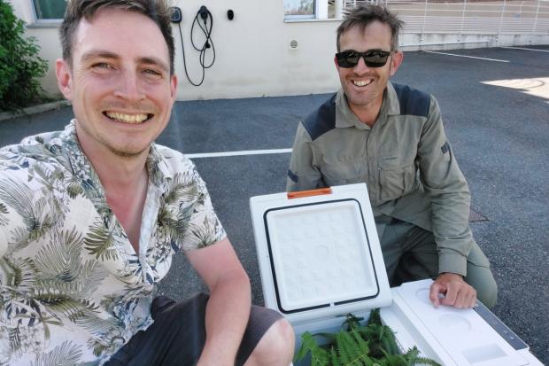 Long-lost insect could return to New Forest countryside