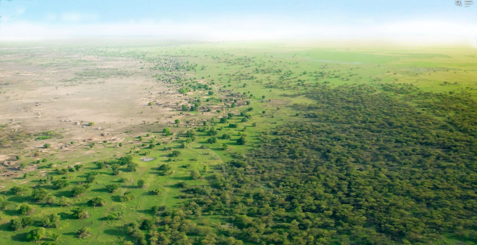 China has planted 66 billion trees: The consequences on our atmosphere