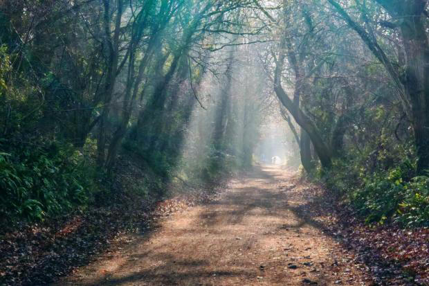 'Stunning' Somerset walk shortlisted to be crowned 'Britain's favourite ...