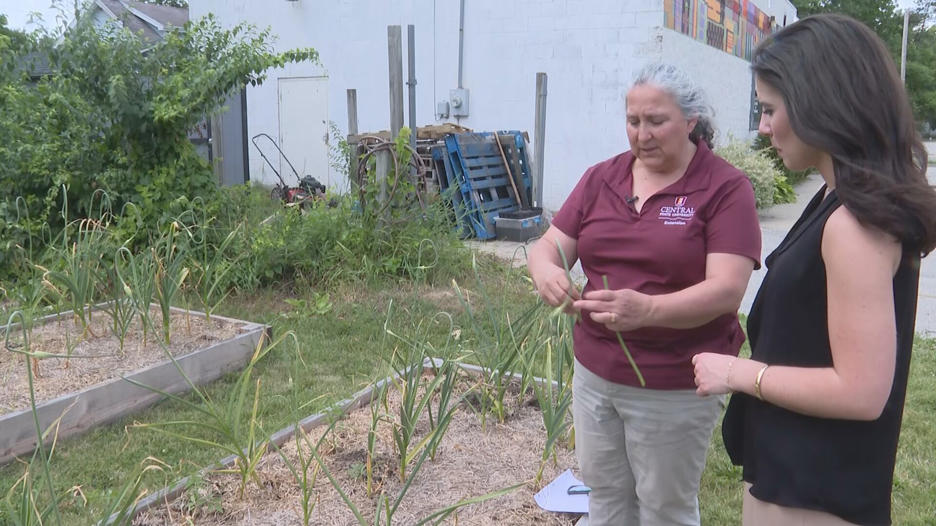 Toledo homesteading: Integrated pest management