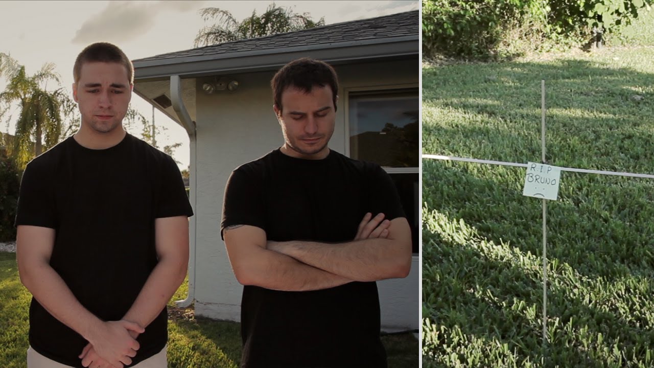 Blood splatter, shotguns & air compressors. It's Bloodtober! - FilmRiot