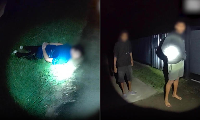 Aussie cop is praised for giving alleged car thief a brutal reality check