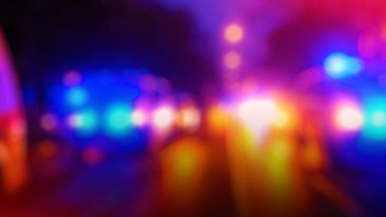 Wanted suspects arrested in connection to multiple armed robberies