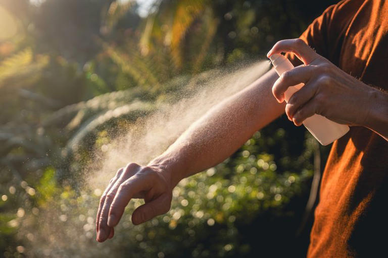 We tried 12 mosquito repellents, one lasted 3 mins and £4 own-brand was ...