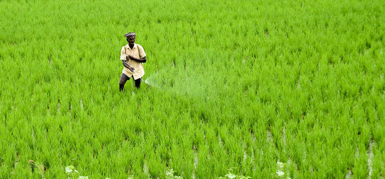New tech ready to recharge soil carbon levels, fertility in Bengaluru