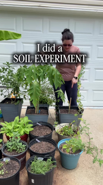 How compost improves soil and plant growth