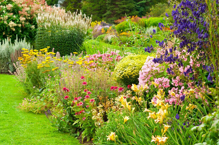 What to do with spring bedding plants now that they've finished flowering