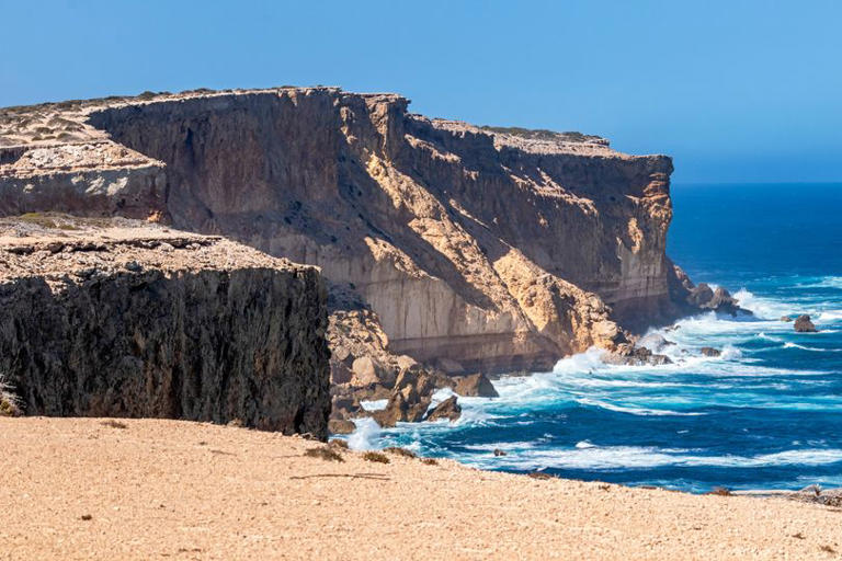 Teacher killed by 10-foot shark after warning children to get out of ocean