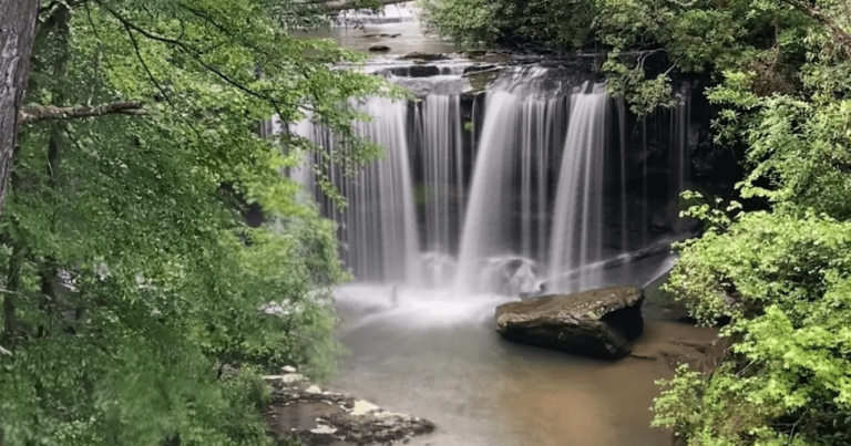 This South Carolina summer spot feels like a secret