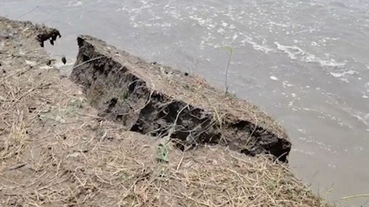 Brahmaputra erosion ravages Assam's Goalpara village, farmers forced to ...
