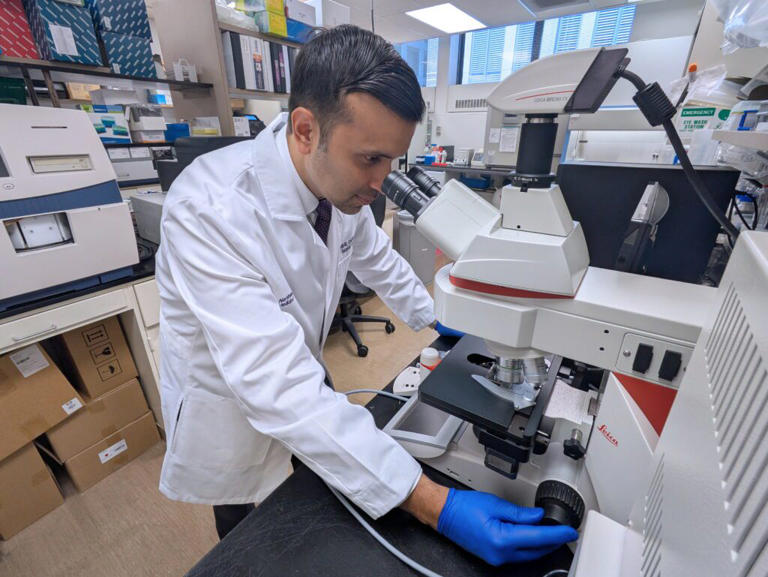 New blood test spots hidden traces of deadly pancreatic cancer