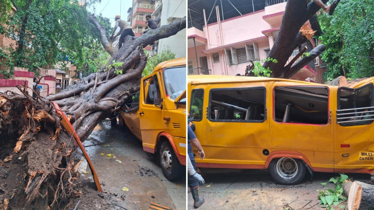 'Tree collapse beyond human control': Minister on Mumbai schoolboy's death