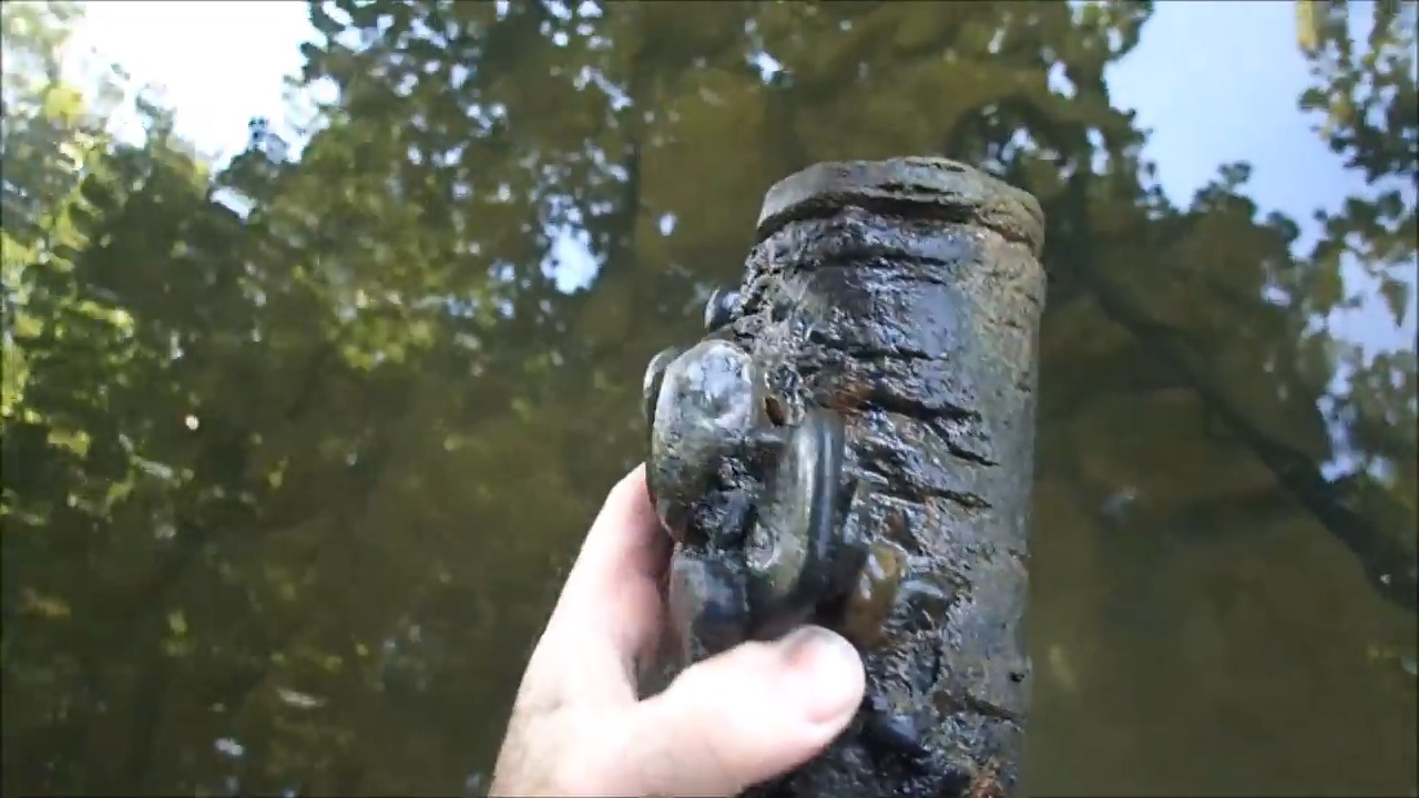 Be aware of the shape in the water - it was not a pipe, it was a ...