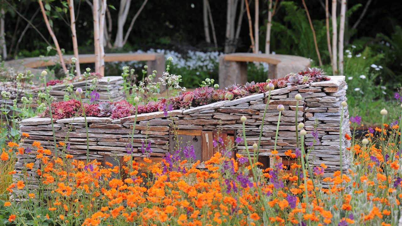 What to plant in July - the best edibles and ornamentals