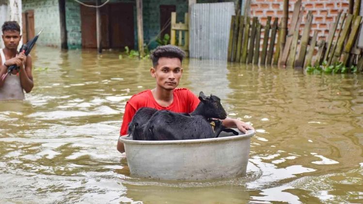 Assam floods continue to batter six districts; over 46,000 affected ...