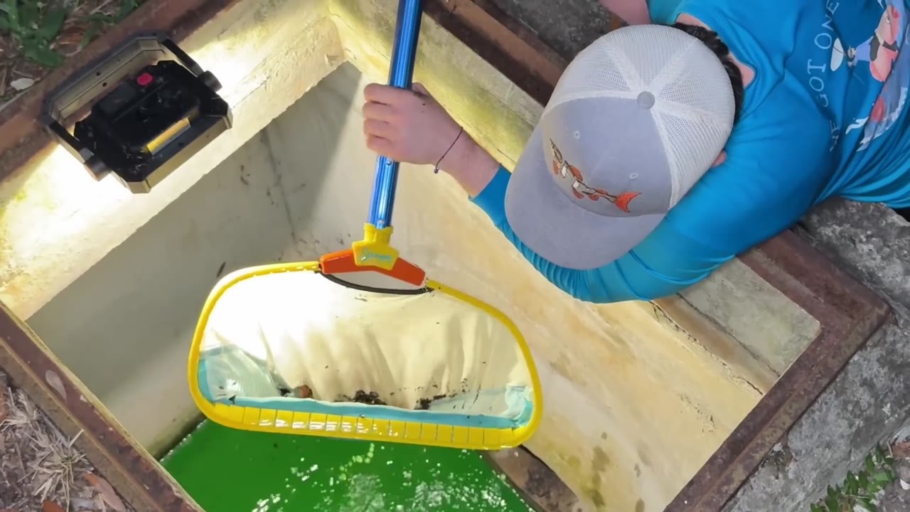 He found a toxic sewer full of dying animals, then the snakes started ...