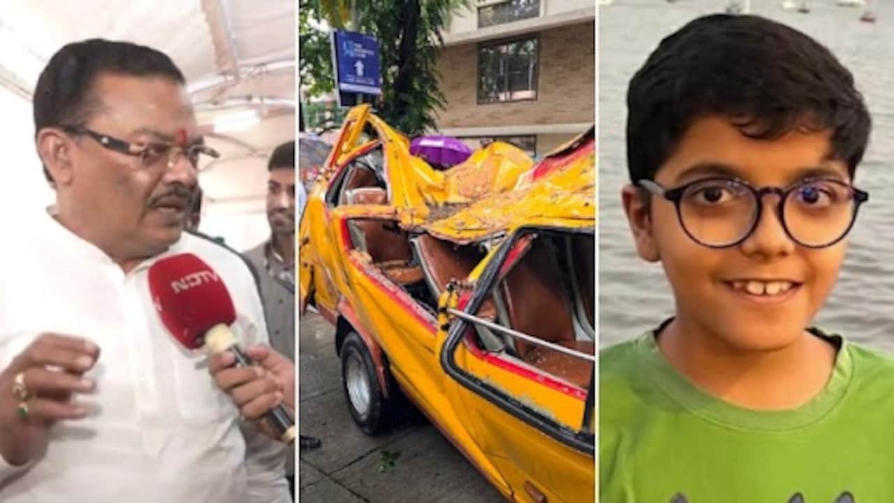 'Tree collapse beyond human control': Minister on Mumbai schoolboy's death