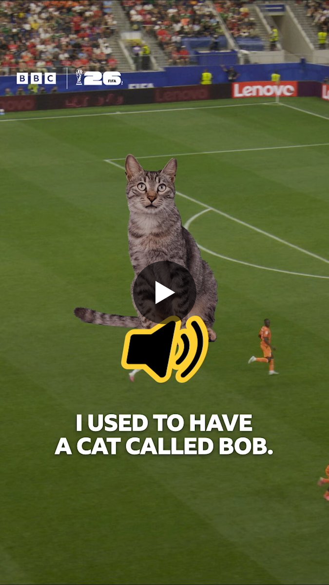 BBC pundit derails World Cup commentary with bizarre anecdote about his cat