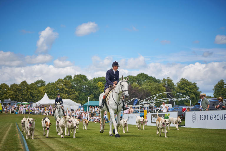 The Midhurst Town Cup draws 6,000 spectators on opening Sunday of the ...