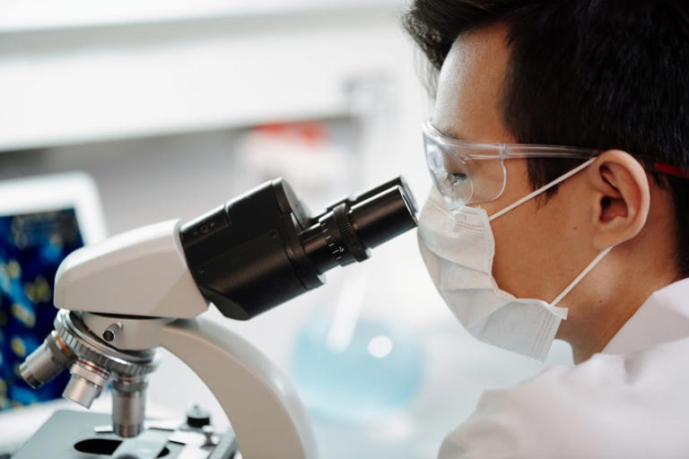 Lab-grown cells restore vision in blind mice in breakthrough study