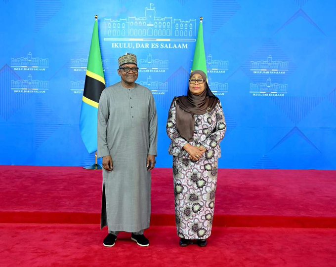 Africa’s richest man picks Tanzania for next wave of power, fertiliser ...