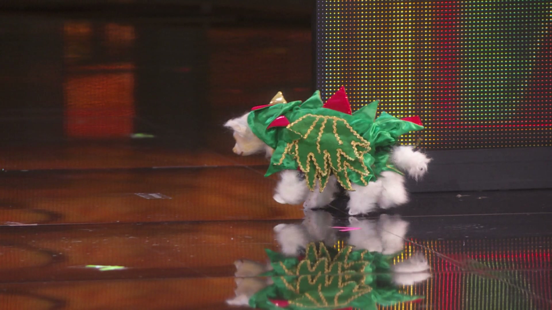 Piff the Magic Dragon - Magician