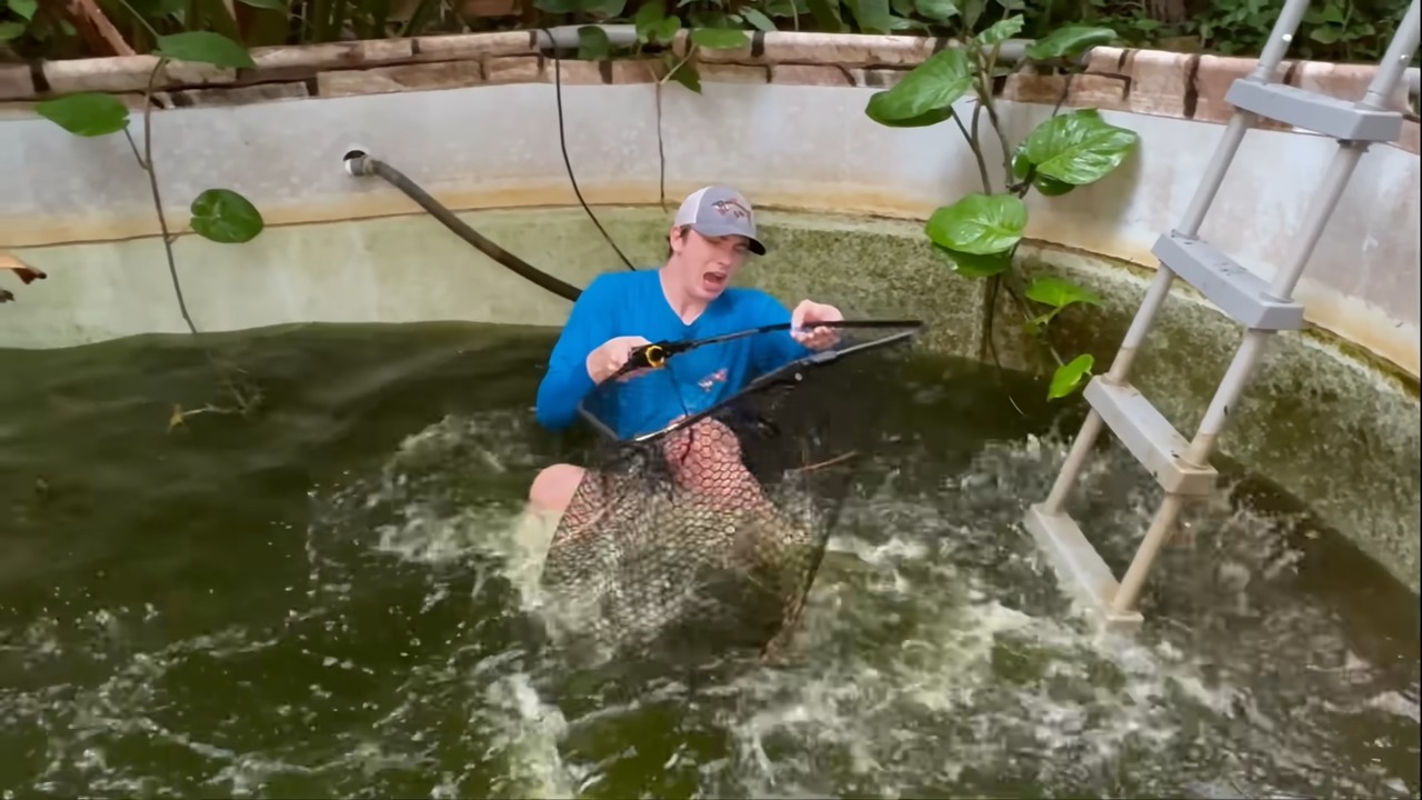 He found his $10,000 fish dead, then realized one monster was attacking ...