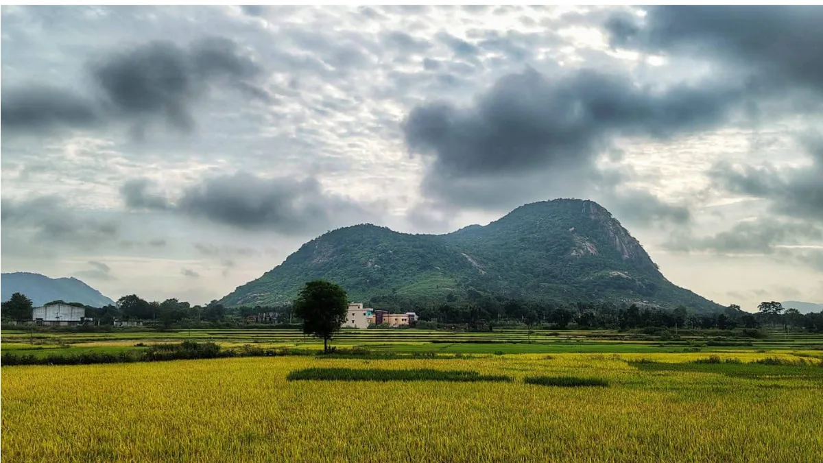 Purilia hills in Bengal may be key to India's rare earth future; mining ...