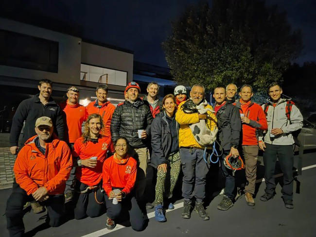 How a community united to find Pepper, the fox terrier, after 11 days ...