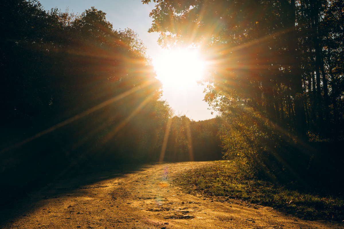 Météo Centre-Val de Loire : soleil et vents modérés pour ce jeudi 2 juillet