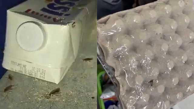Cockroach, rodent infestation at another Zepto store in Hyderabad