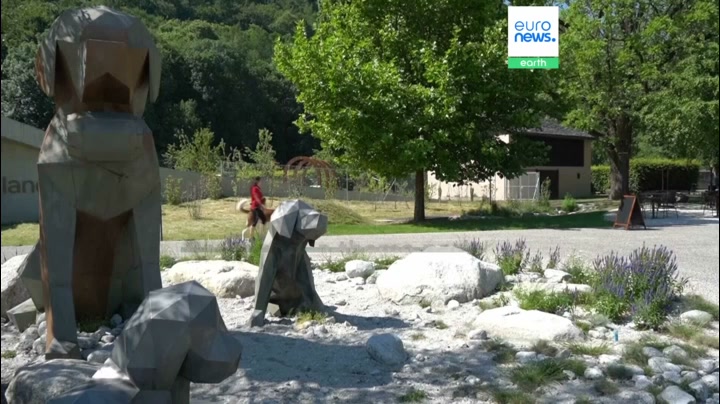 Latest news bulletin | July 1st, 2026 – Midday