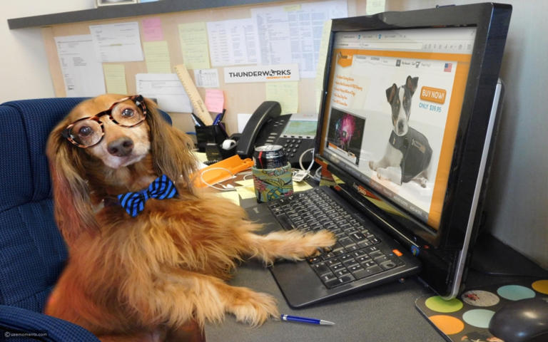 National Take Your Dog to Work Day between noble goals & fun