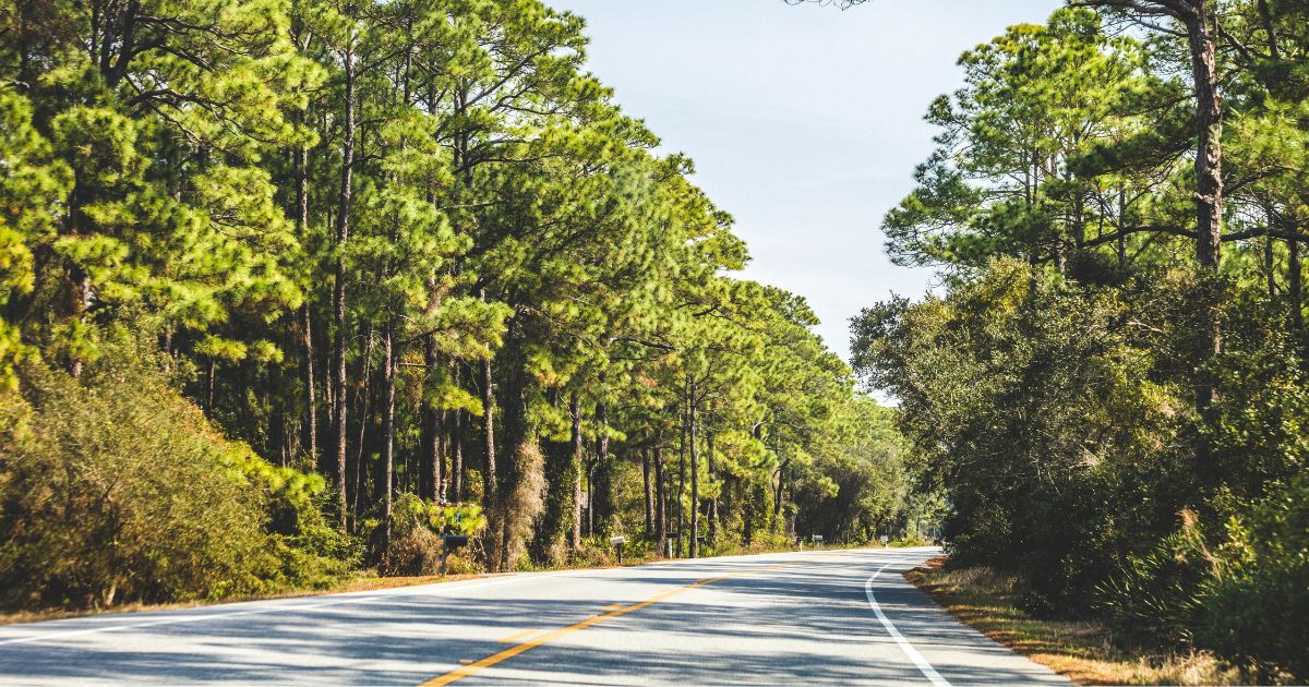 Dead Woman Found in Woods Along With Body of Her Suspected Murderer ...