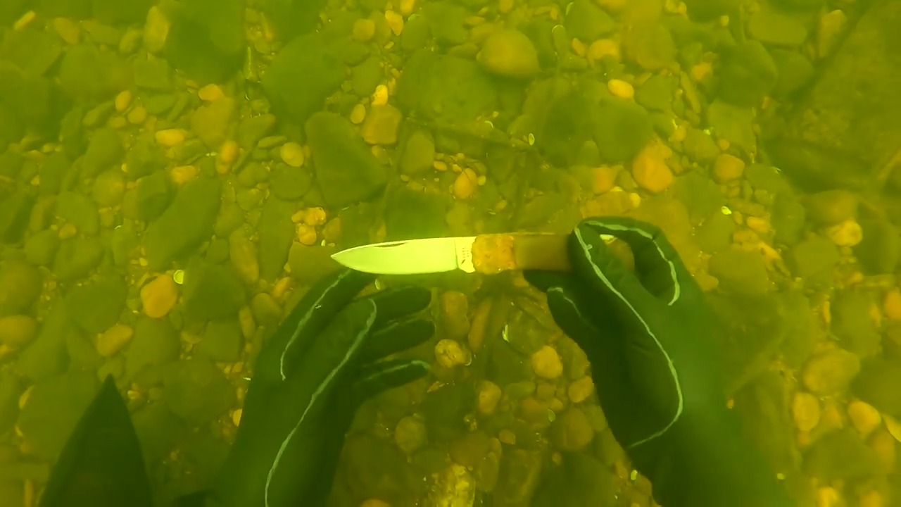 Watch how a river dive turned from Apple Watches to a gun-looking find ...