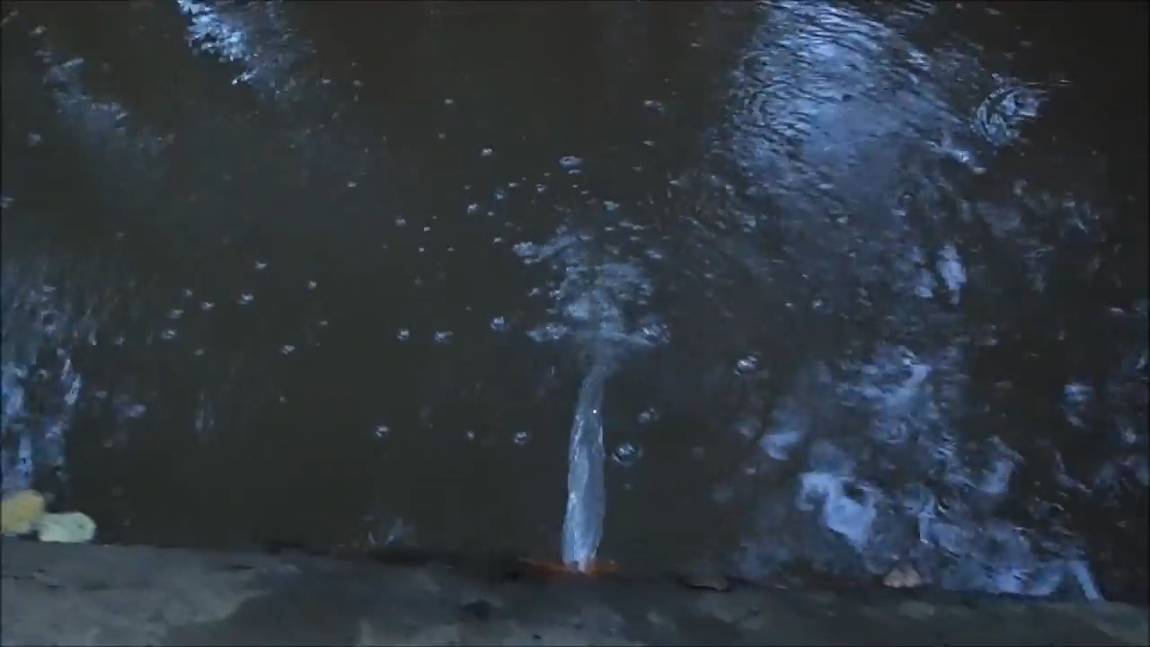 He found a leaking sewer pipe and you won't believe what he did next