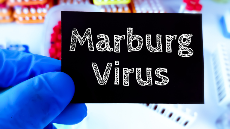 Uganda on alert over suspected Marburg virus outbreak