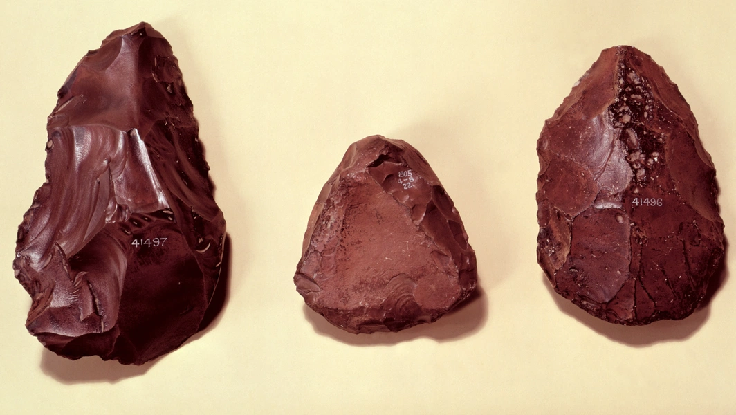 Early human control and creation of fire