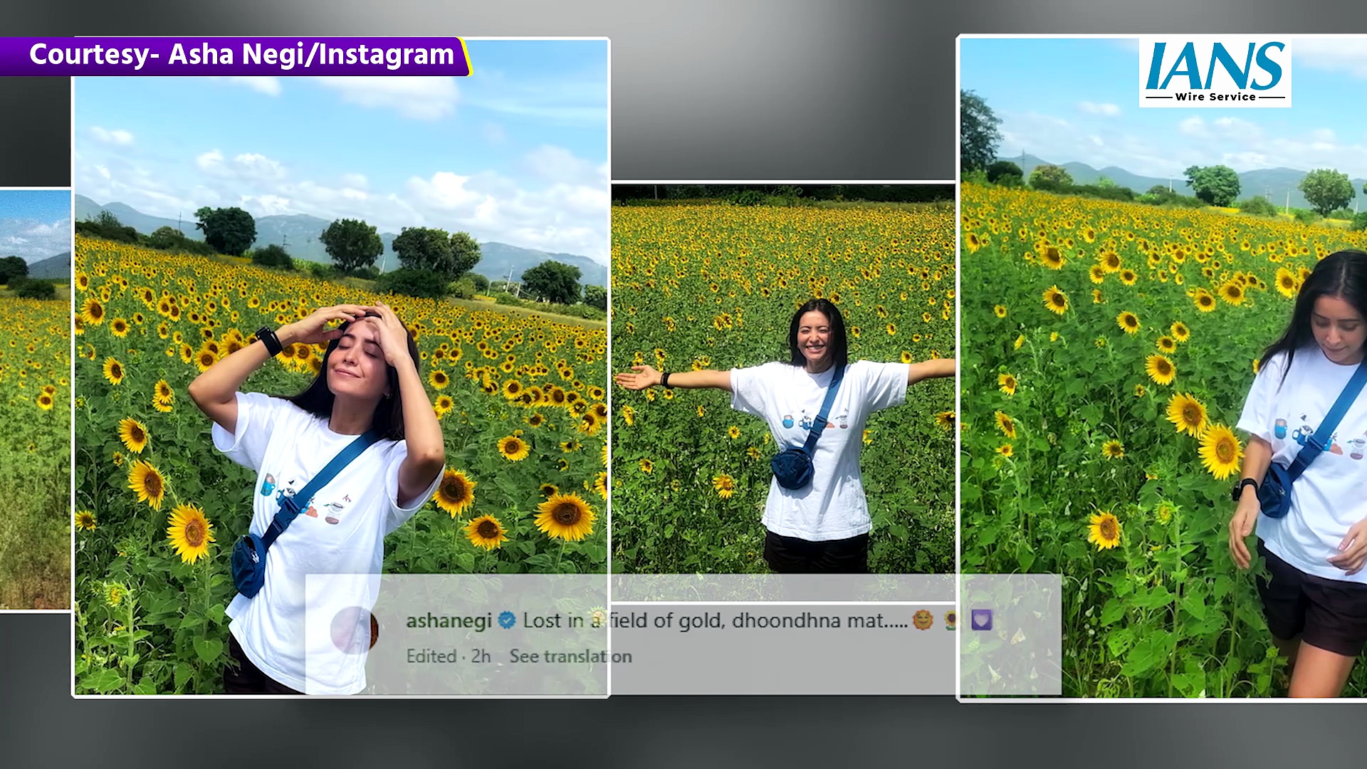 Asha Negi shares her stunning photos from golden fields, says "Lost in ...