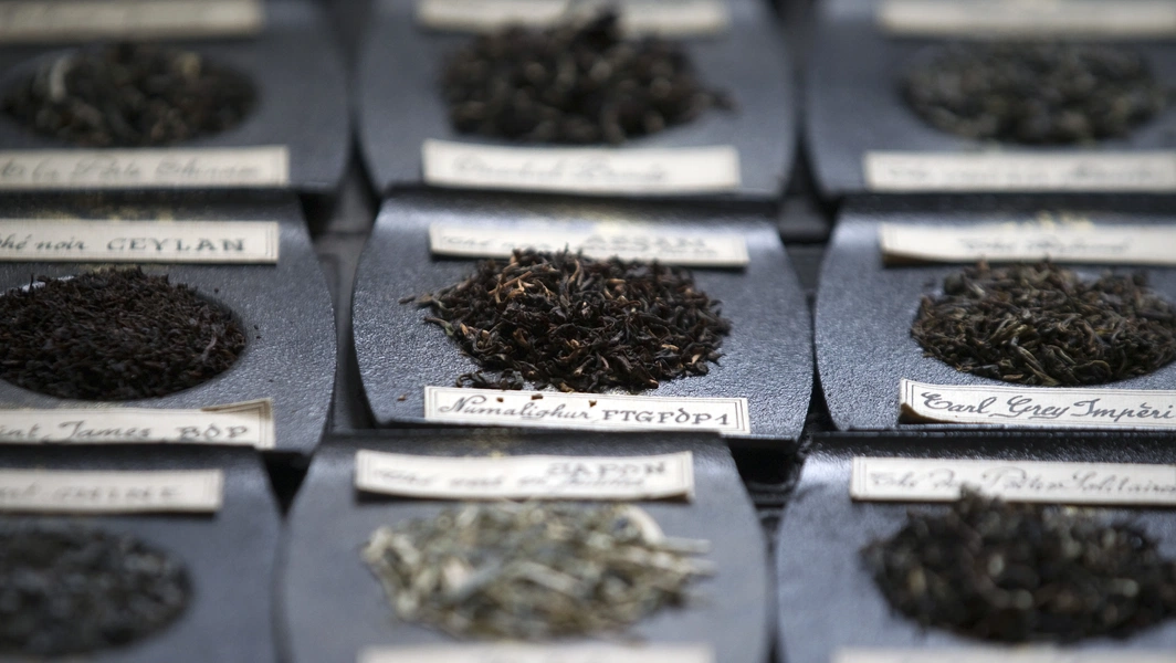 13 refreshing teas perfect for iced brews